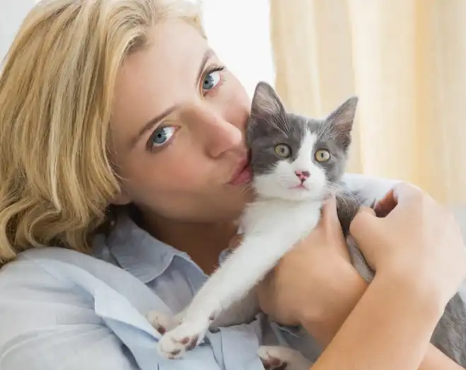 Assurance chat : la mutuelle santé de votre animal - Macif